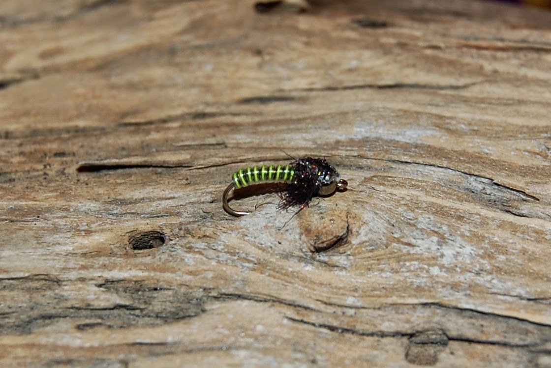 Ralph's Fly Box: Tying the Little Green Caddis Worm (Video)