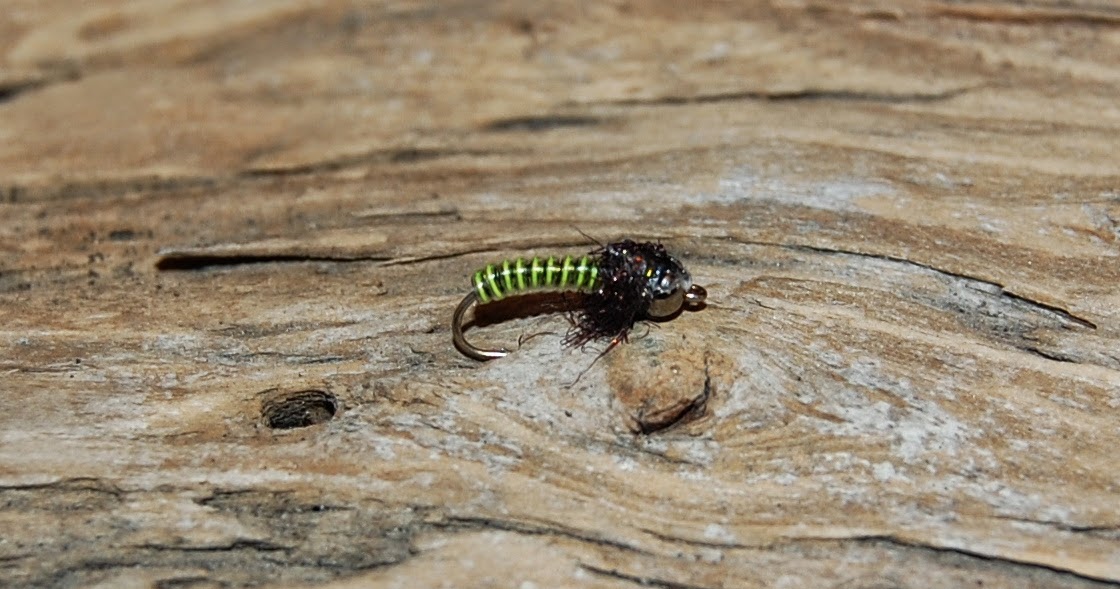 Ralph's Fly Box: Tying the Little Green Caddis Worm (Video)
