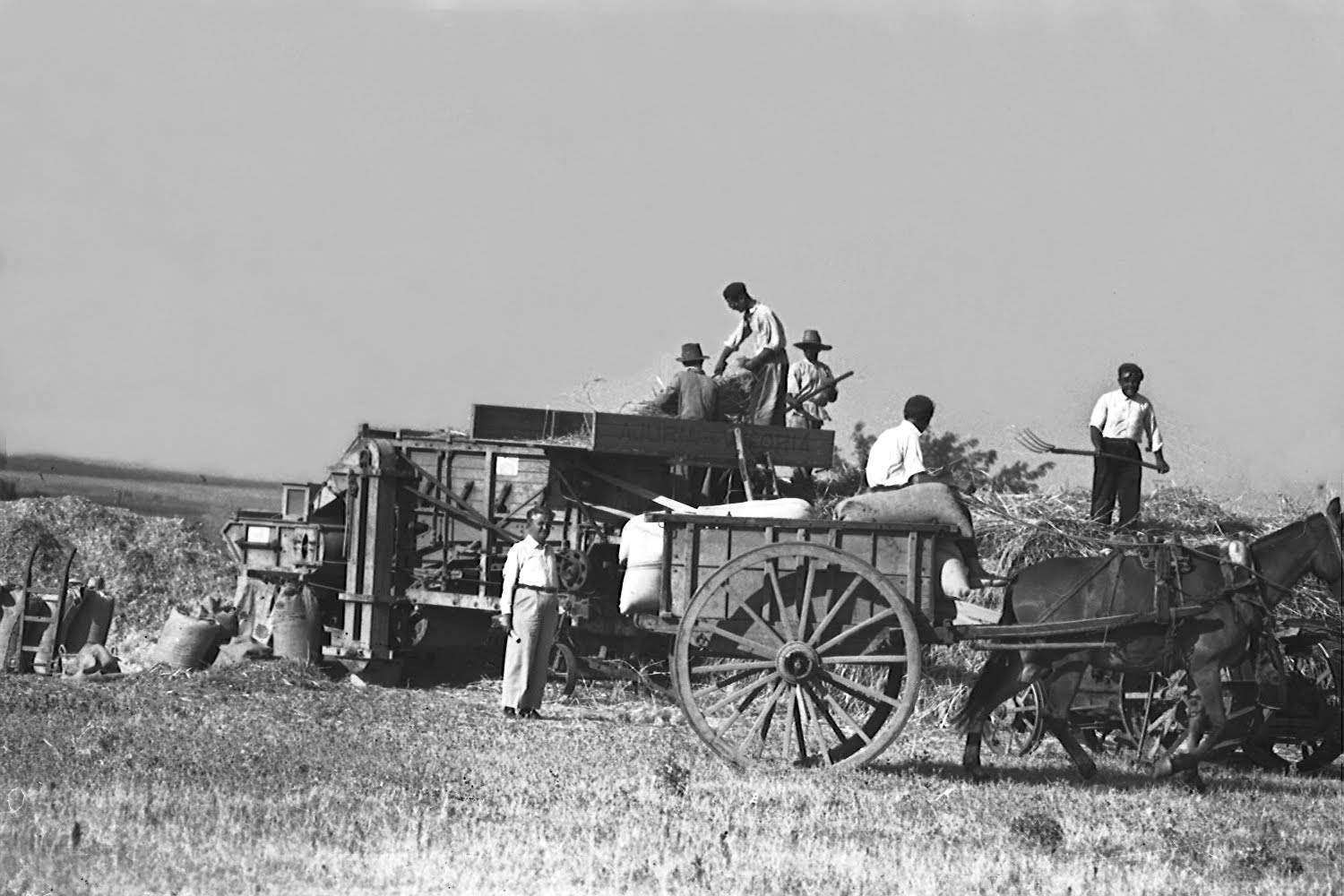 Desarrollo rural EUROSCOLA: febrero 2016