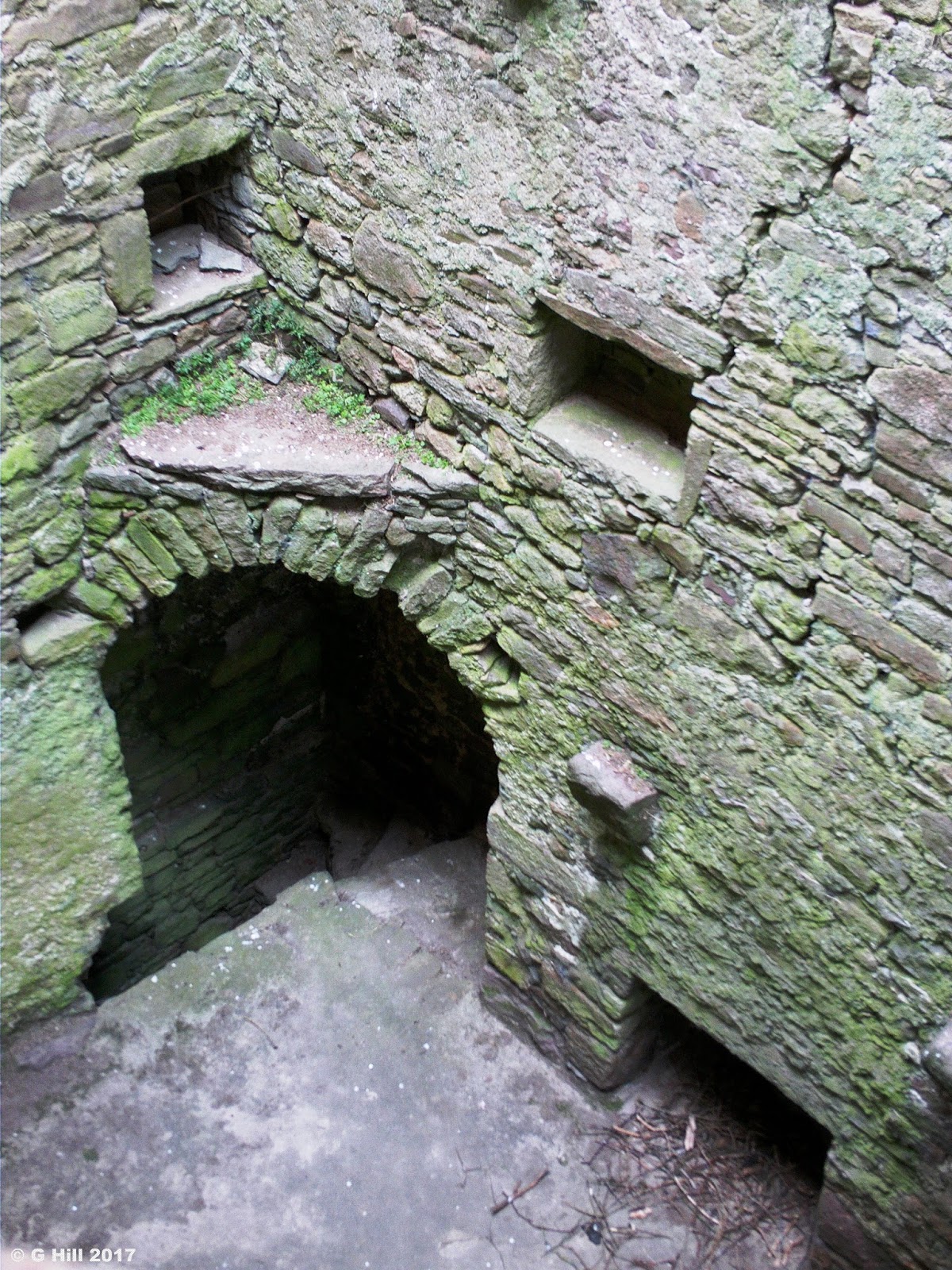 Ireland In Ruins: Old Kilfane Church Co Kilkenny