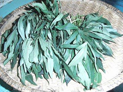 La Cucina di Cubanita : RICETTA CONGOLESE :SUGO DI MATEMBELE