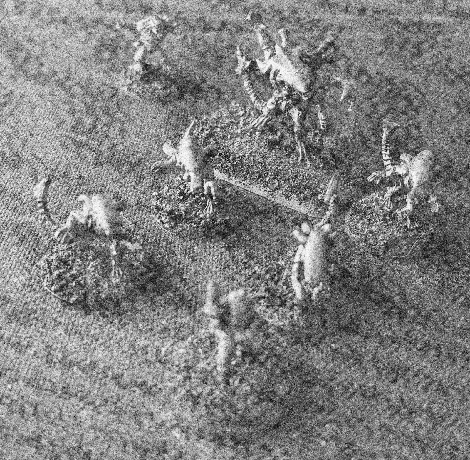 Force on Force 15mm and 28mm Historical Wargaming: Chef Pierre Piper ...