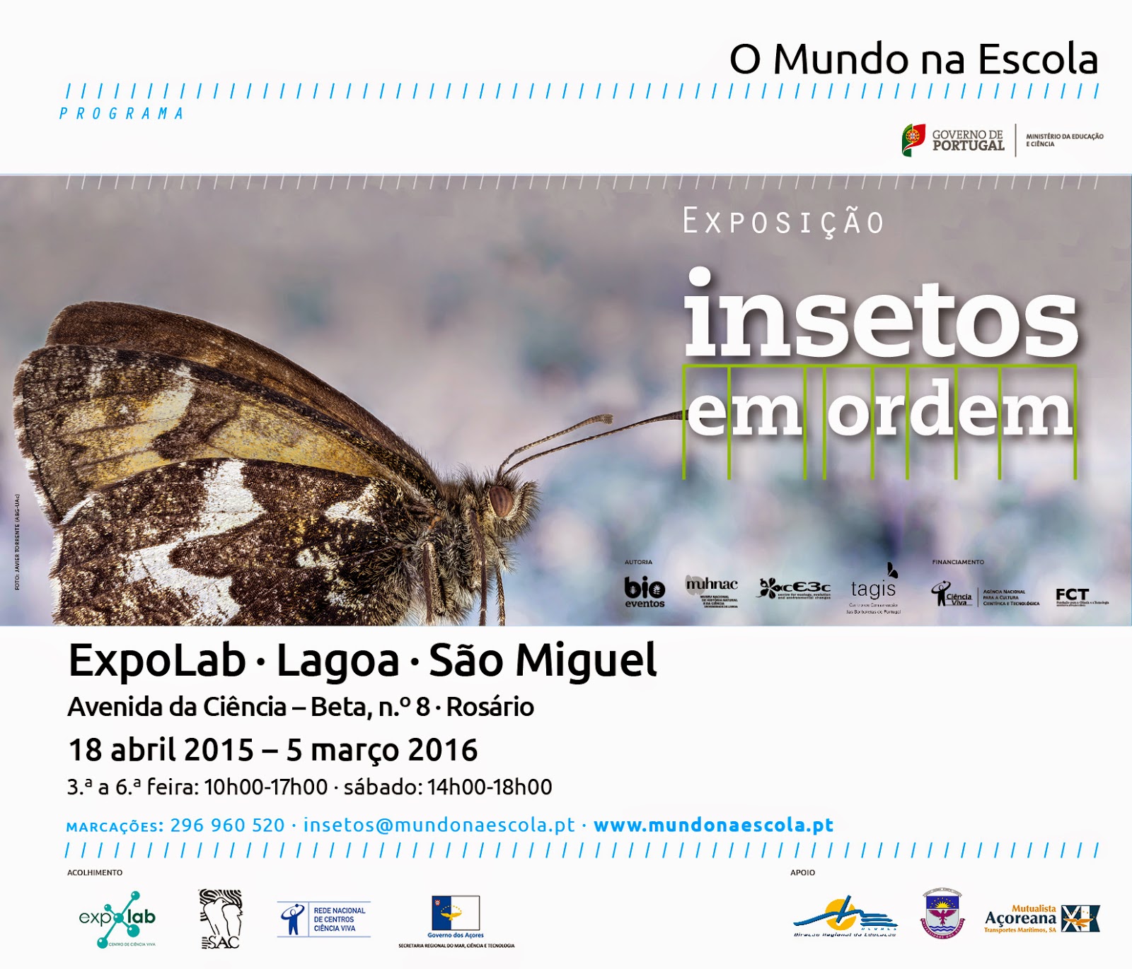 Expolab - Centro Ciência Viva: Nova Exposição "Insetos em Ordem"