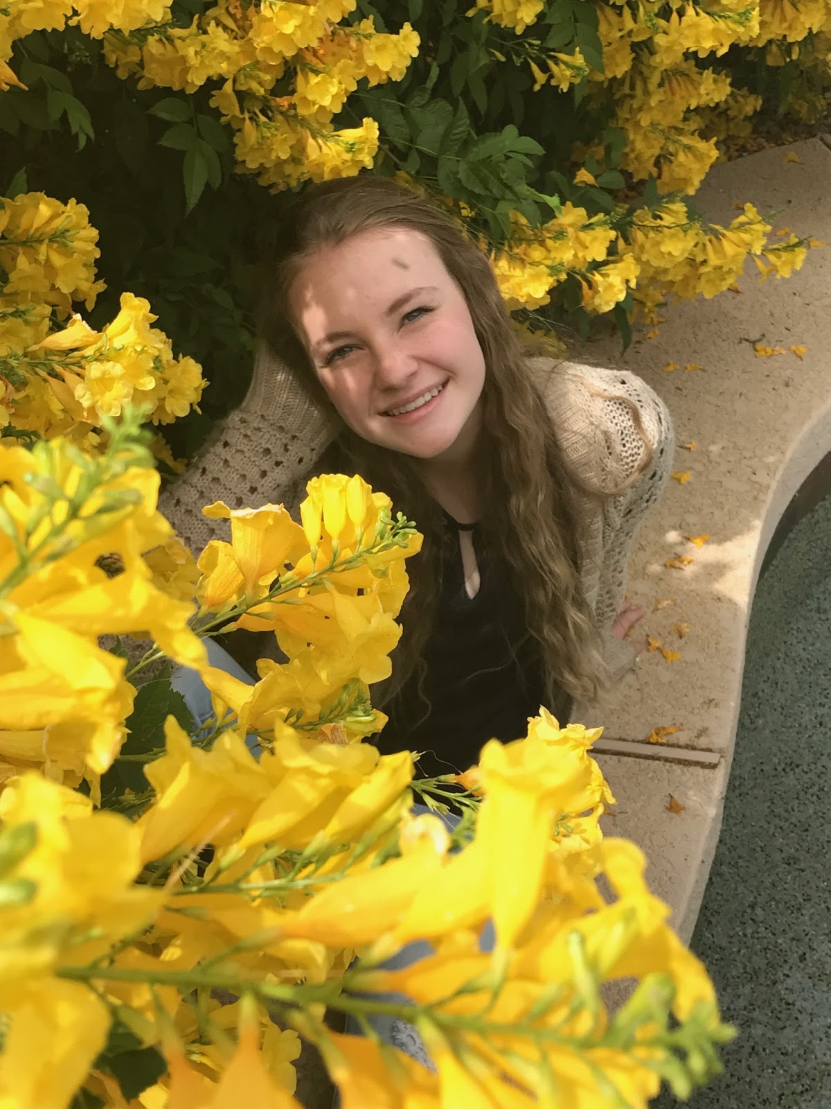 Beautiful Katelyn! | Freeman Family Front-Page