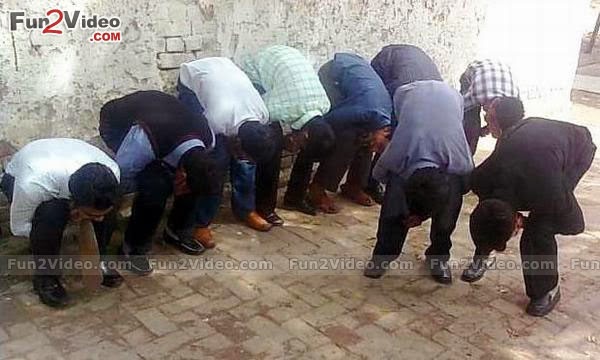 The Cradle Swings Again