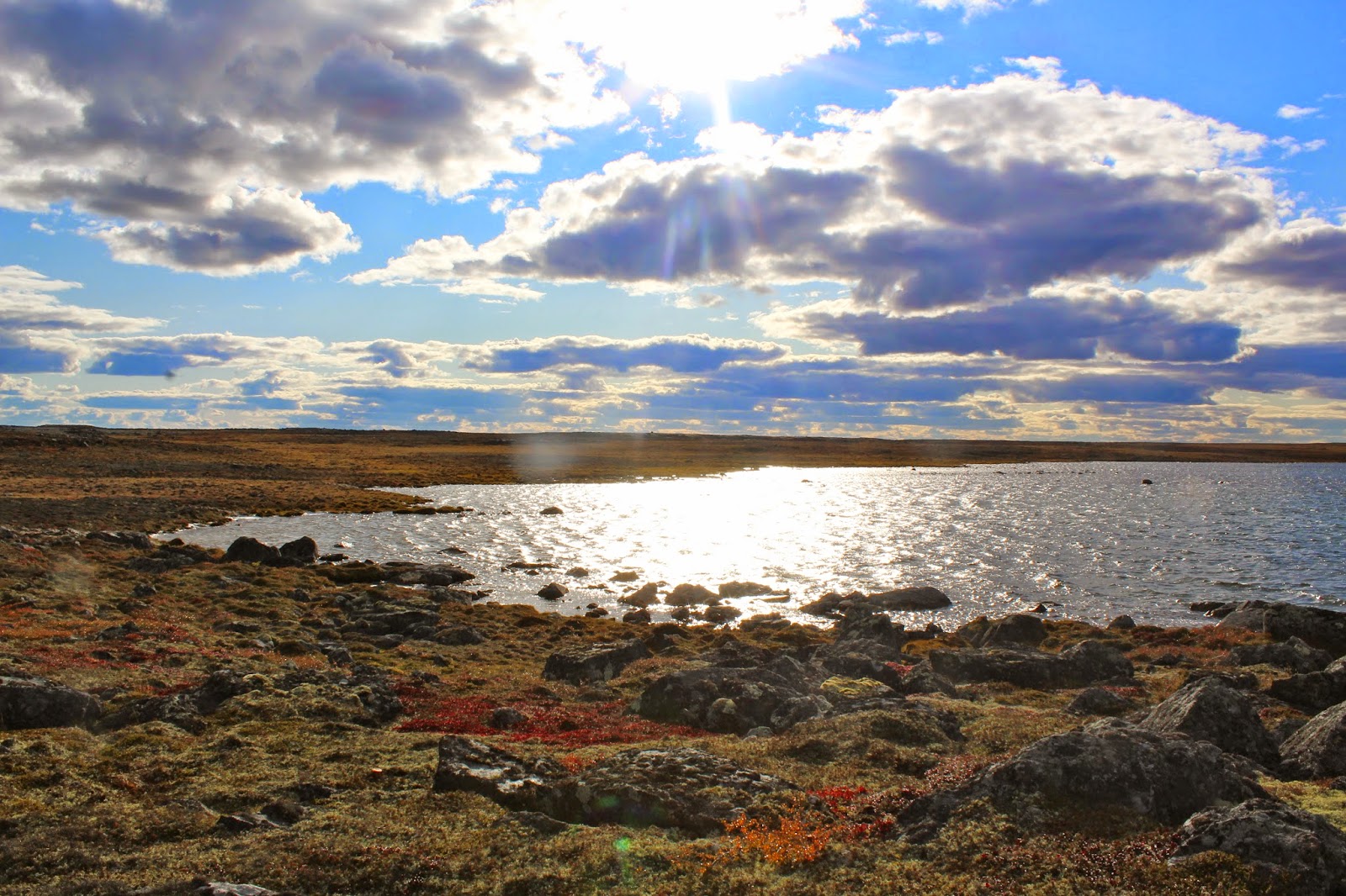 All of it or Nunavut
