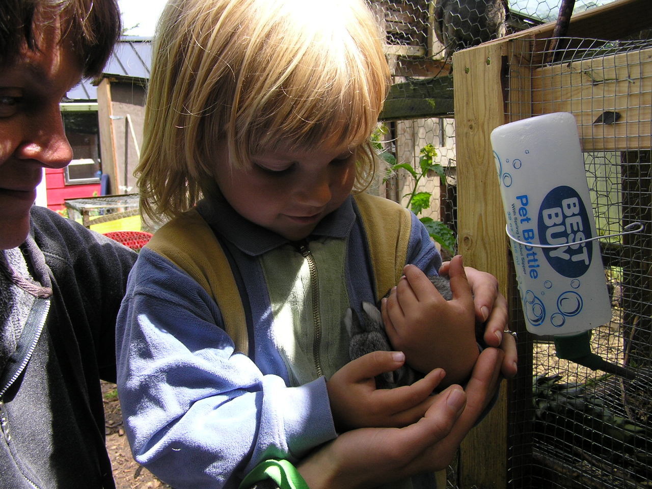 Keeping Rabbits: Our First Litter - A Life Unprocessed