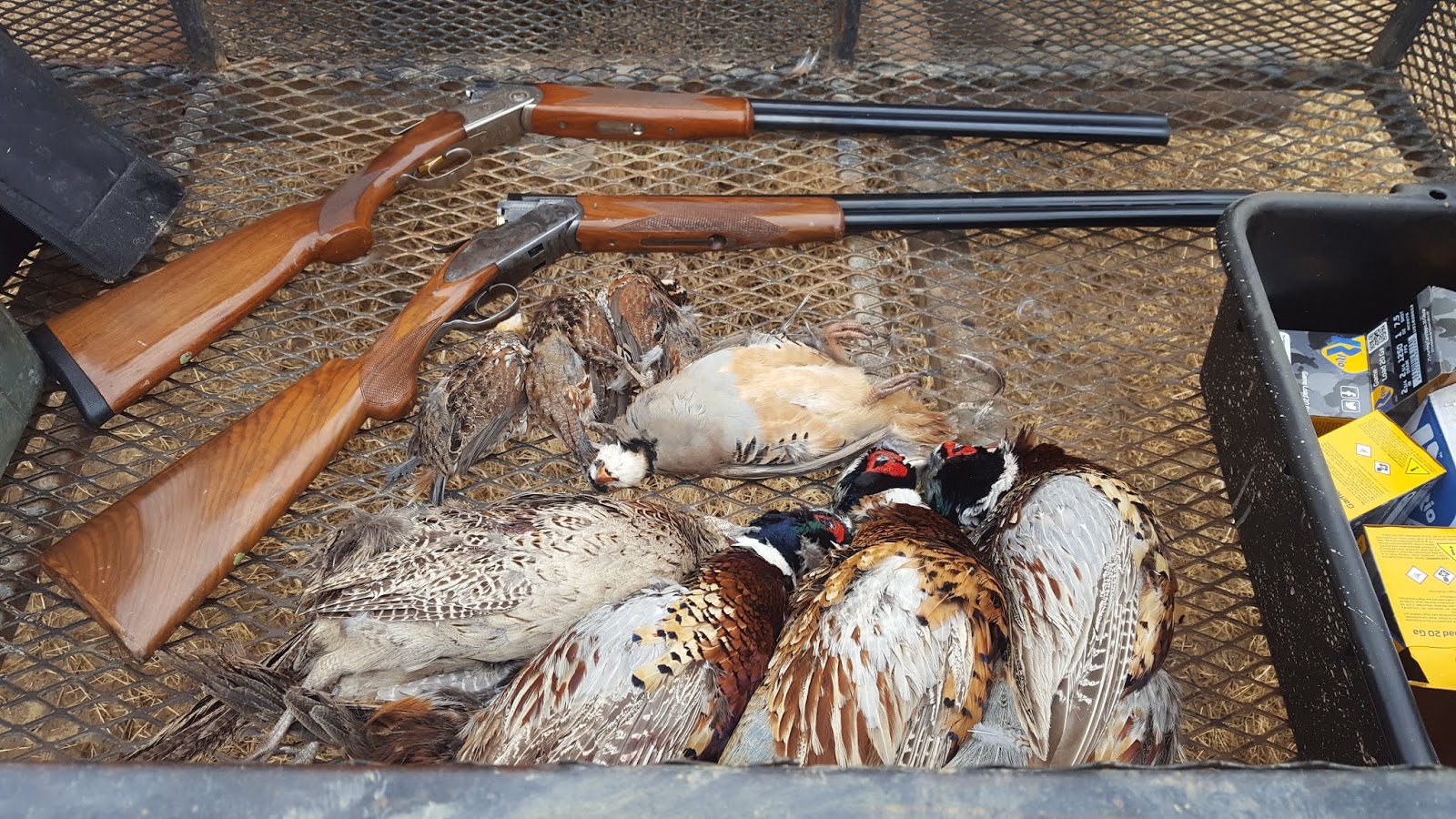 Lone Star Parson: 2018