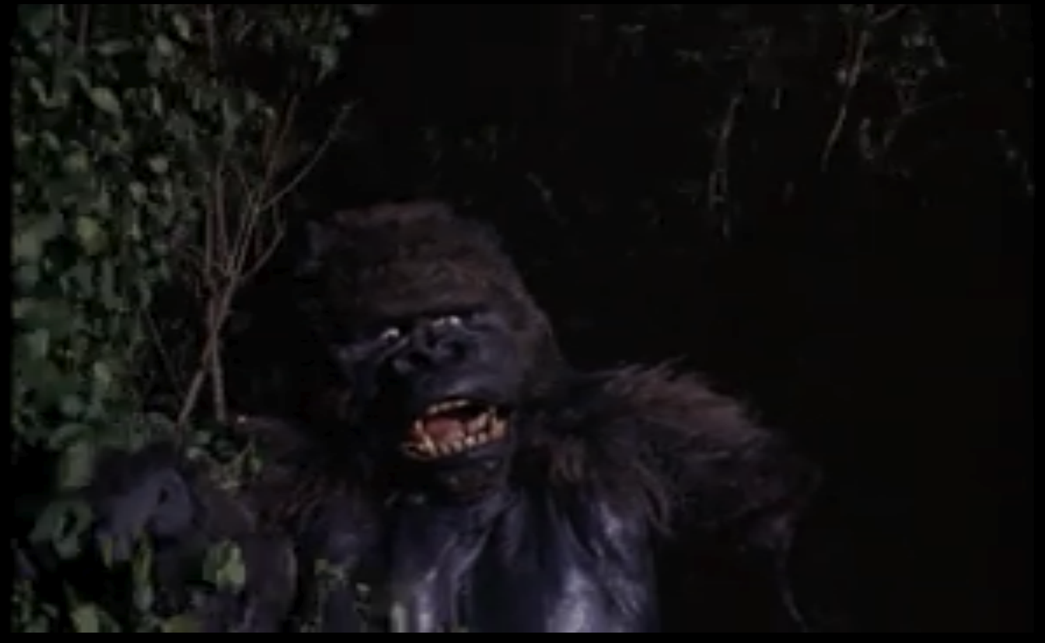 Lost in Rehearsal: Konga - 1961