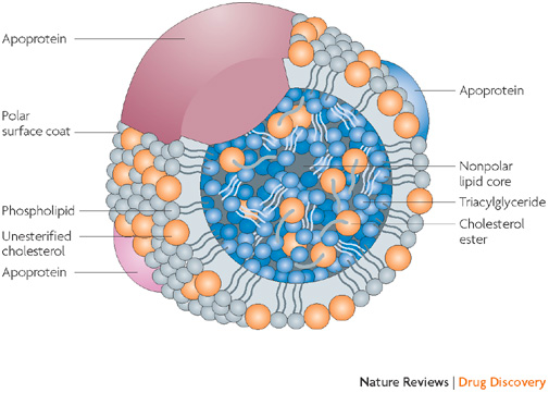 BIOMEDICS ONLINE: Lipoproteins