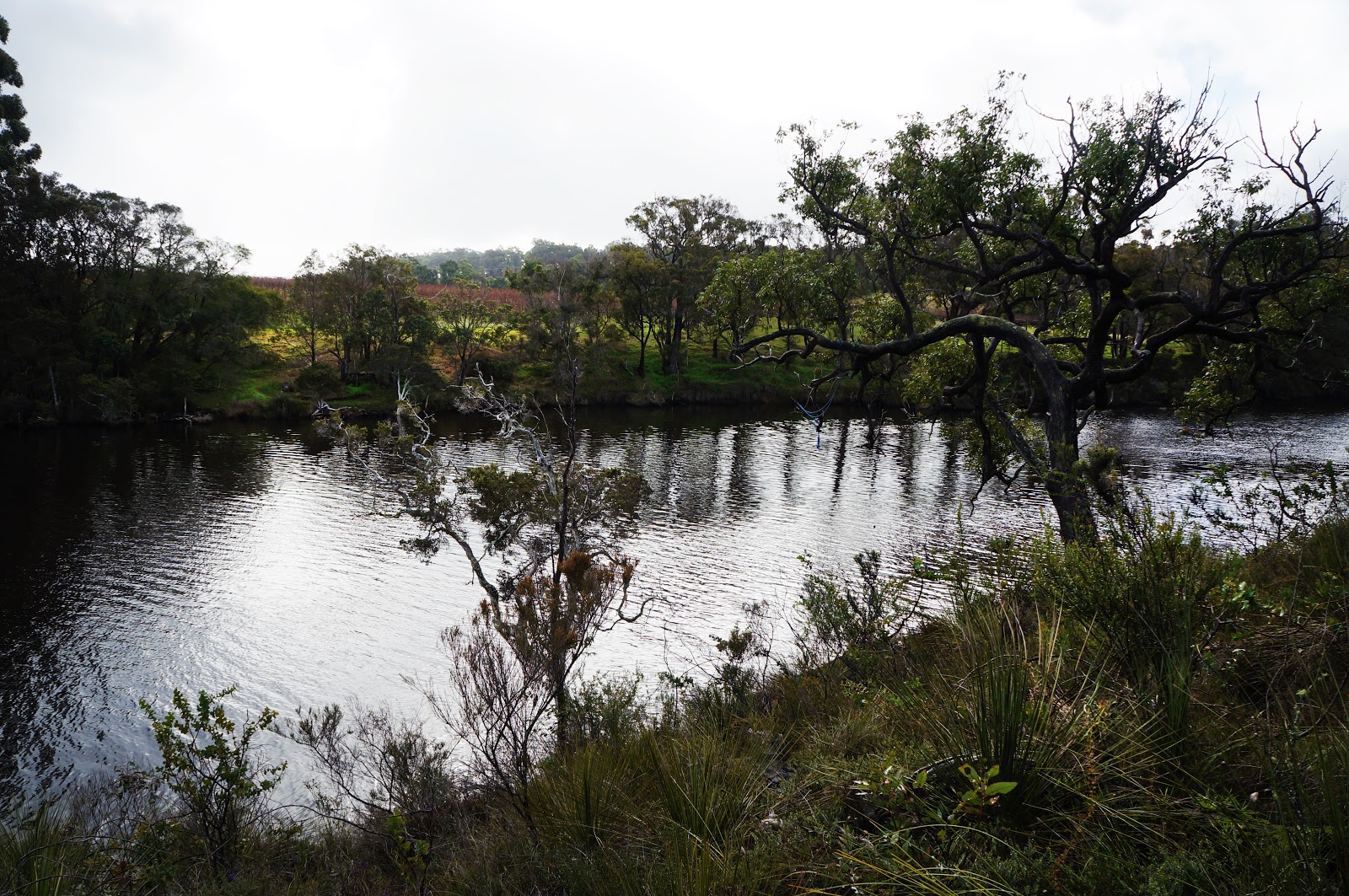 Luke Pen Walk (Kalgan River) ~ The Long Way's Better