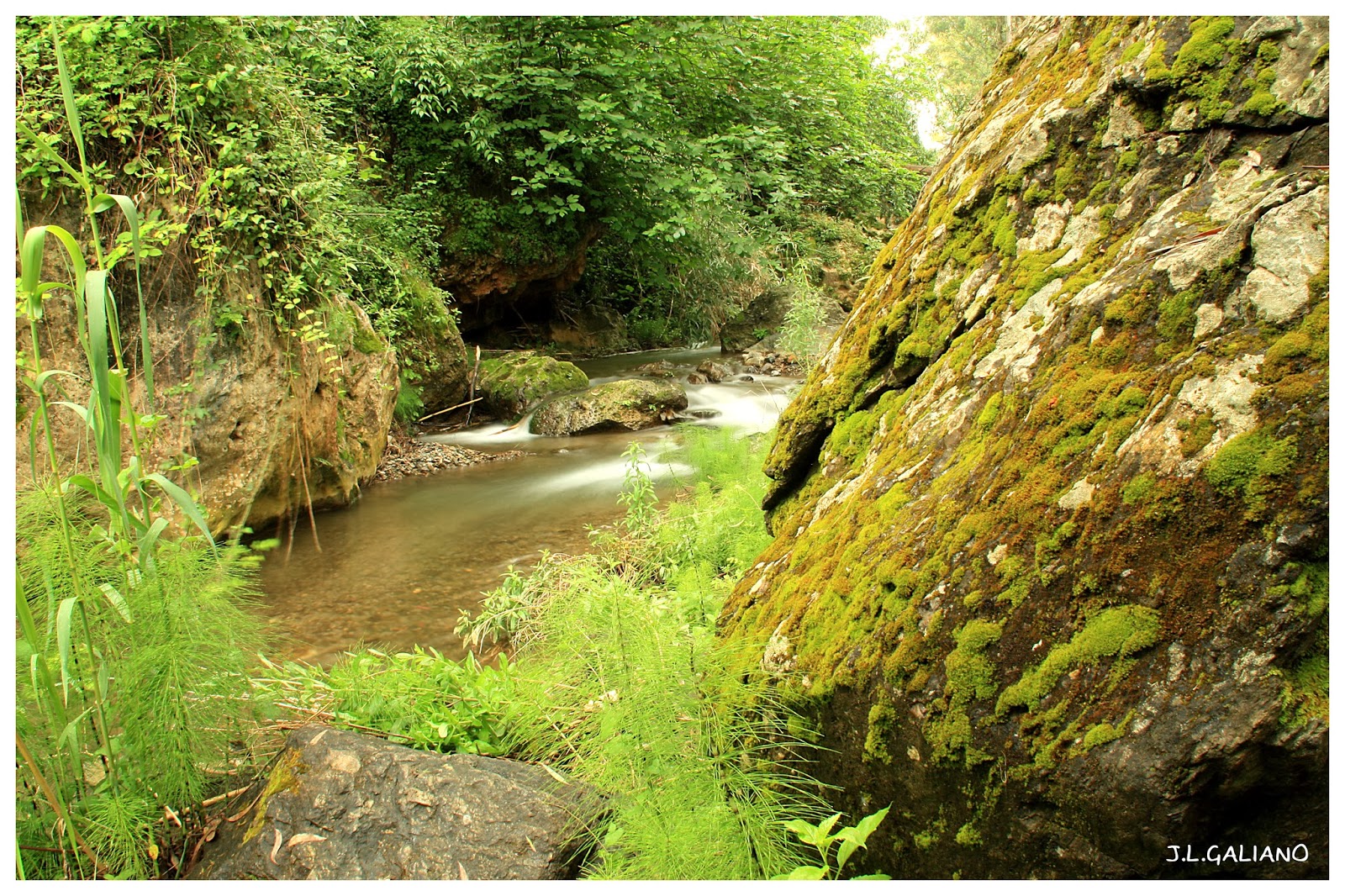 La Imagen del Sur: RIO FAHALA. ALHAURIN EL GRANDE.