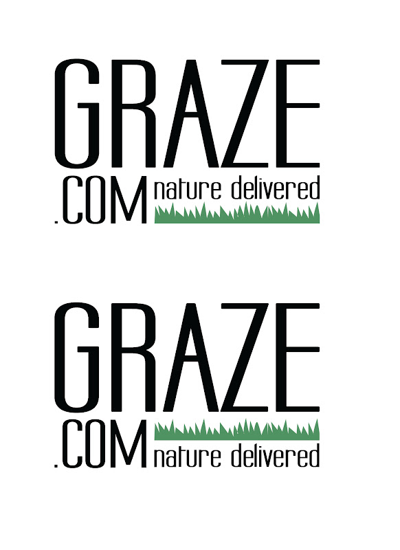 Final Major Project: Graze Logo Ideas