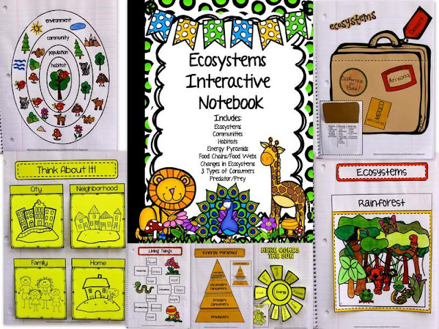 Mrs. C's Classroom: 50% OFF SALE: SCIENCE BUNDLES