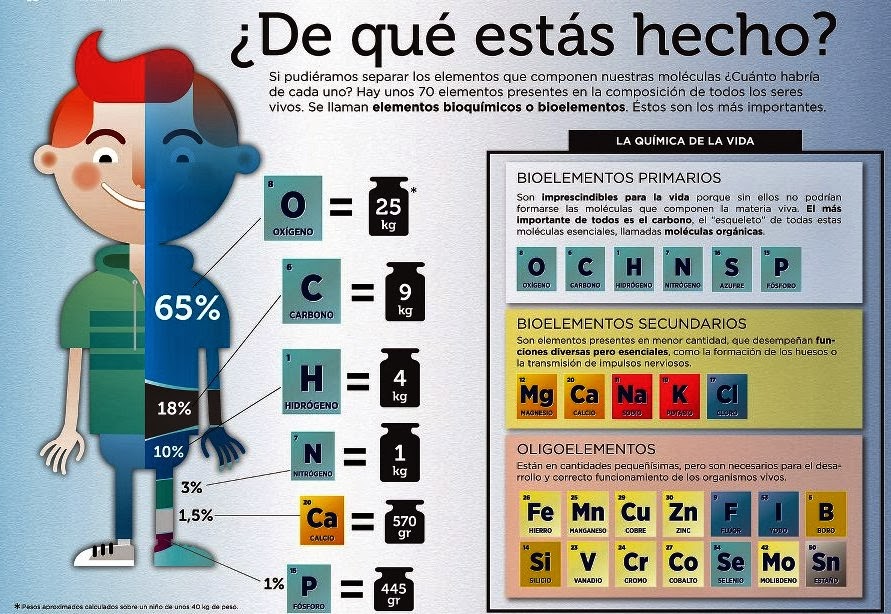 BIOLOGÍA I: BLOQUE II Identificas las características y los componentes ...