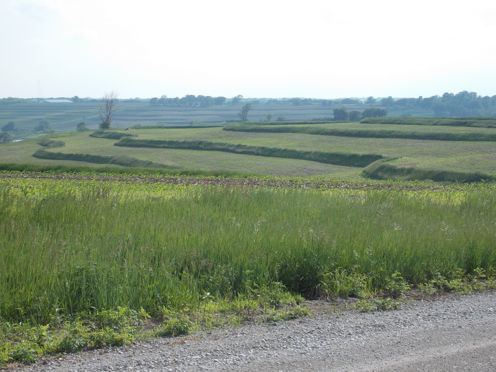 The Schramm Journey: Iowa's Loess Hills