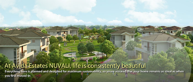 Avida Housing: Avida Estates, Nuvali - Daphne Model