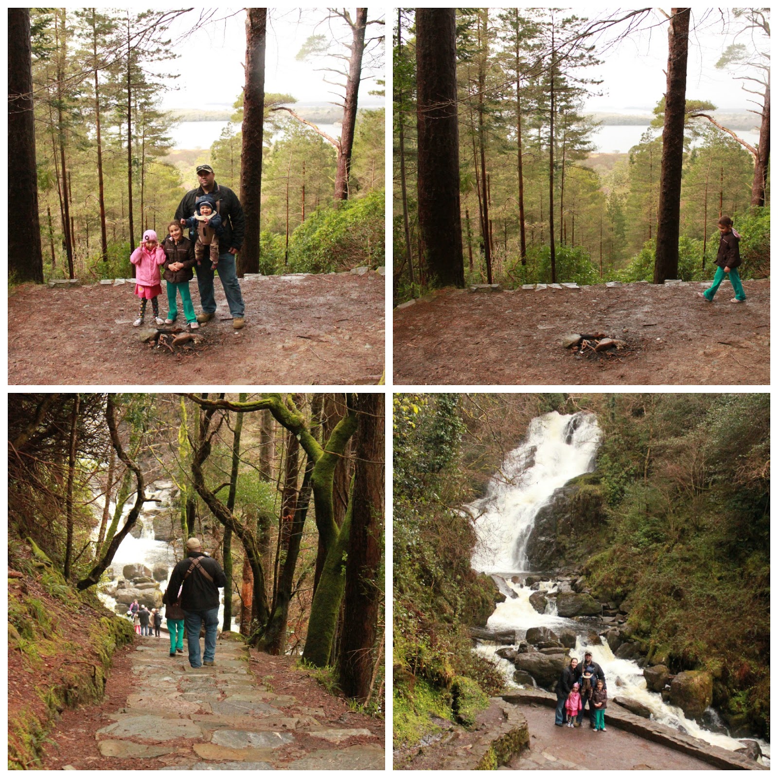 The MacDonalds: Ireland, Day One: Muckross Pet Farm, Ross castle, Torc ...