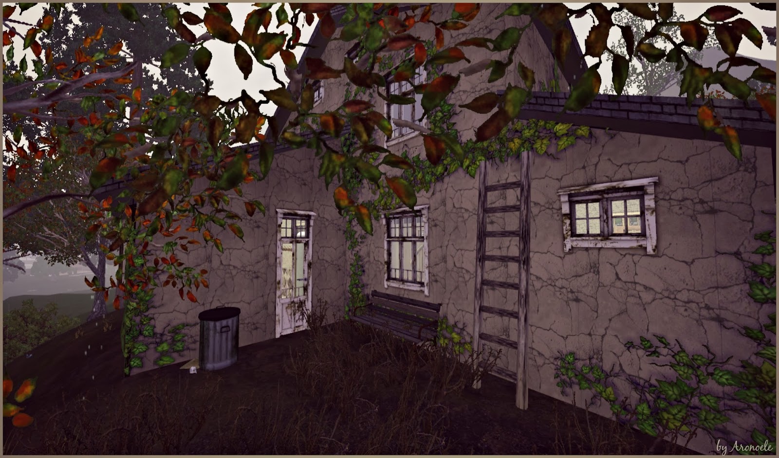 Aronoele Sims: Old house - squat living