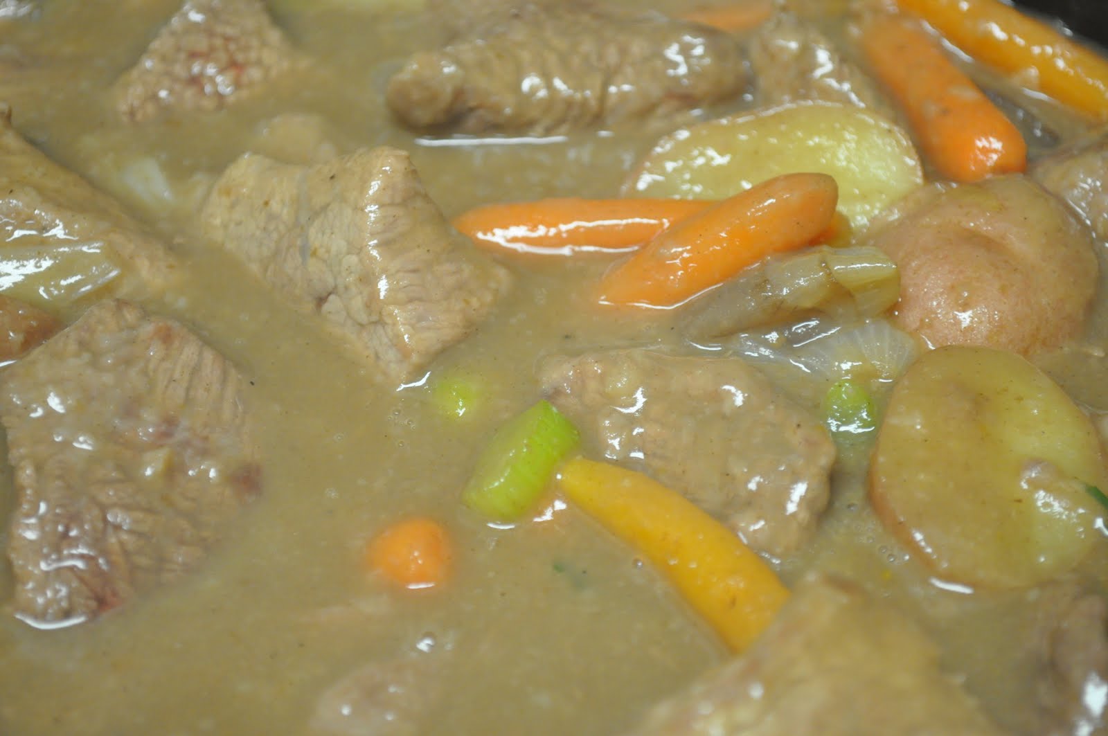 Picture Perfect Plating: Savory Beef and Vegetable Stew
