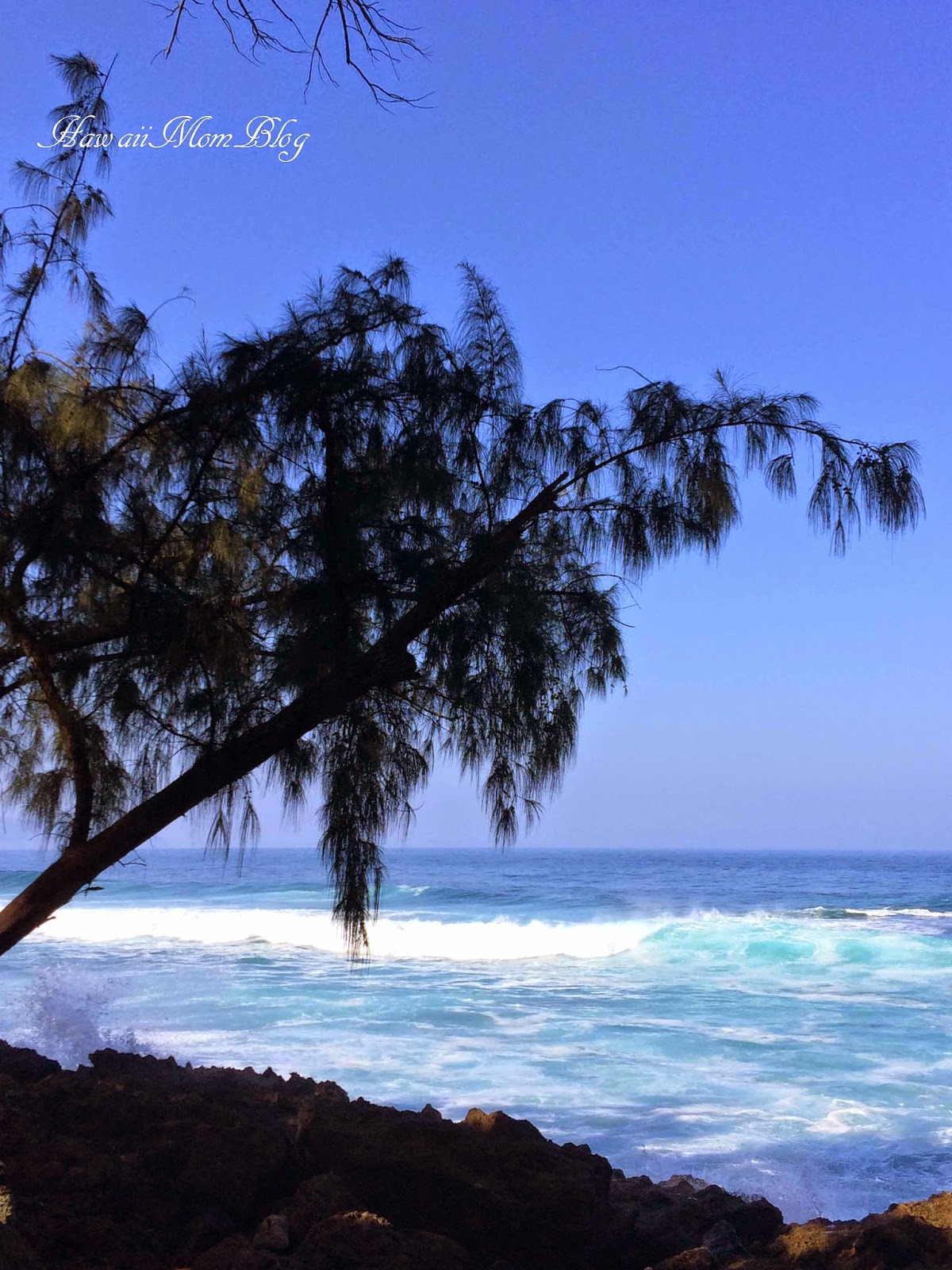 Hawaii Mom Blog: WW: Pupukea Beach Park