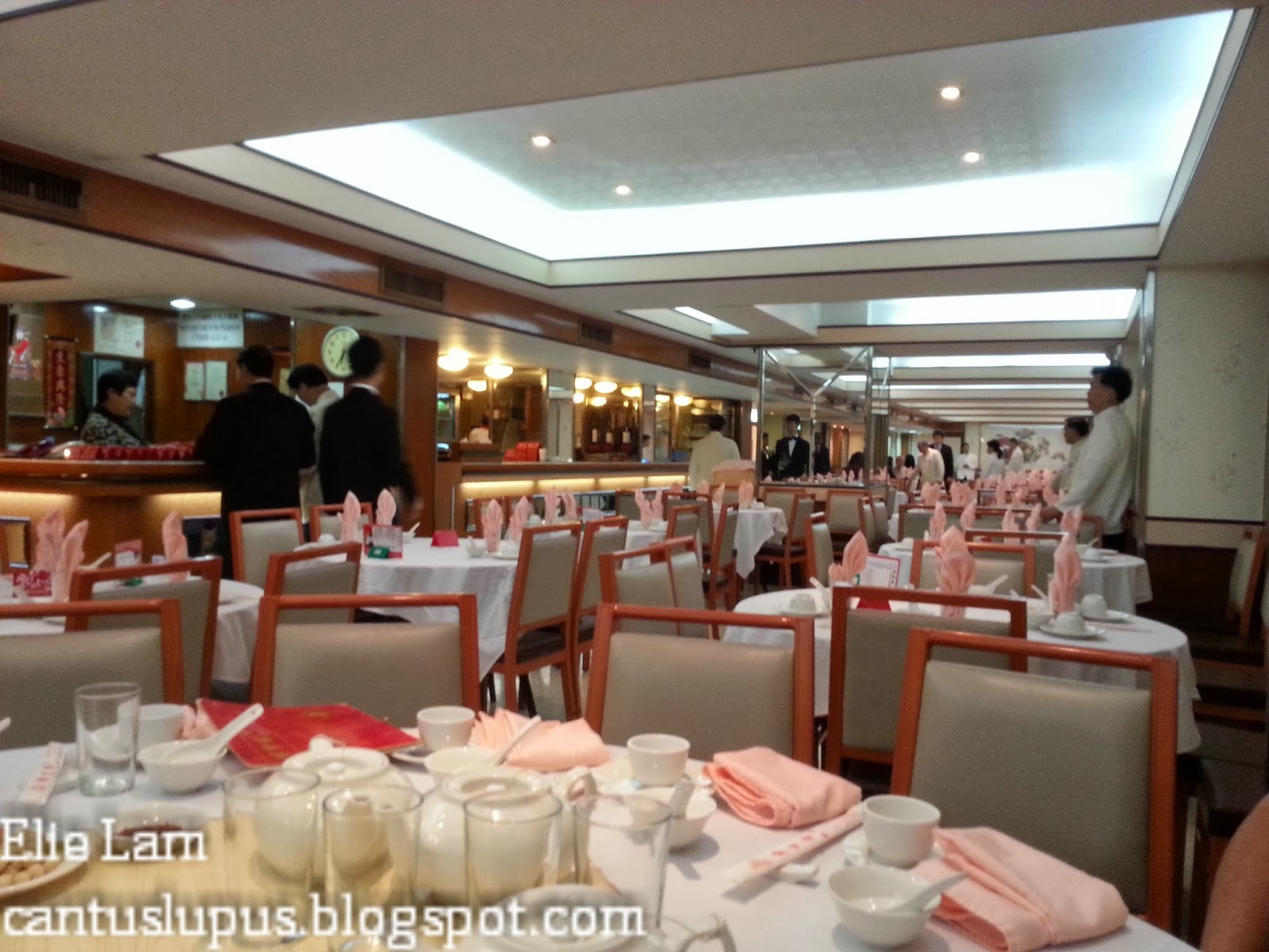 Hong Kong Eats: Spring Deer Restaurant & Cafe De Coral - CANTUSLUPUS.COM