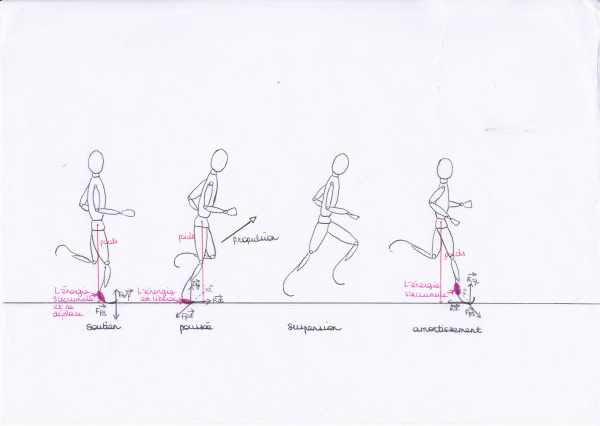PROTHESE DE COURSE: Les forces s'exerçant sur la prothèse