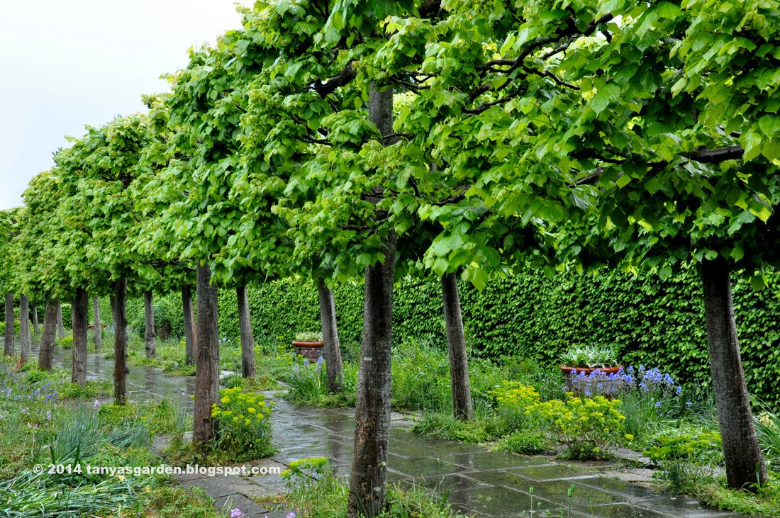 MySecretGarden: Sissinghurst Garden Pictures. Part 6: Lime Walk ...