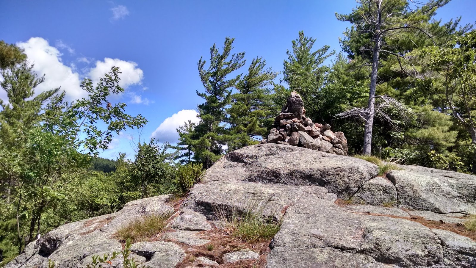 Off on Adventure: Terzian Woodlot - Hague, NY - 8/1/15