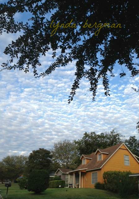 BIRDS & DAFFODILS: BEAUTIFUL SKY & COTTAGE