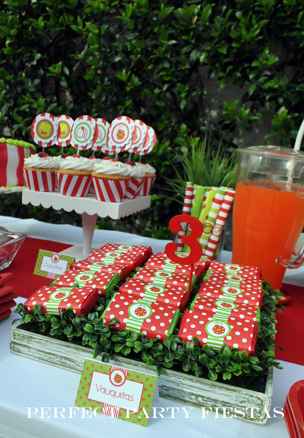 Perfect Party: Fiesta temática del Sapo Pepe - Garden Party