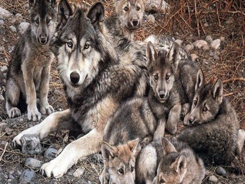 EL BLOG DE RUCELLY TURRIZA