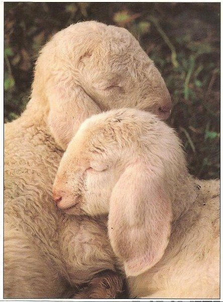 Anniesantiago13: What to See in Burgos