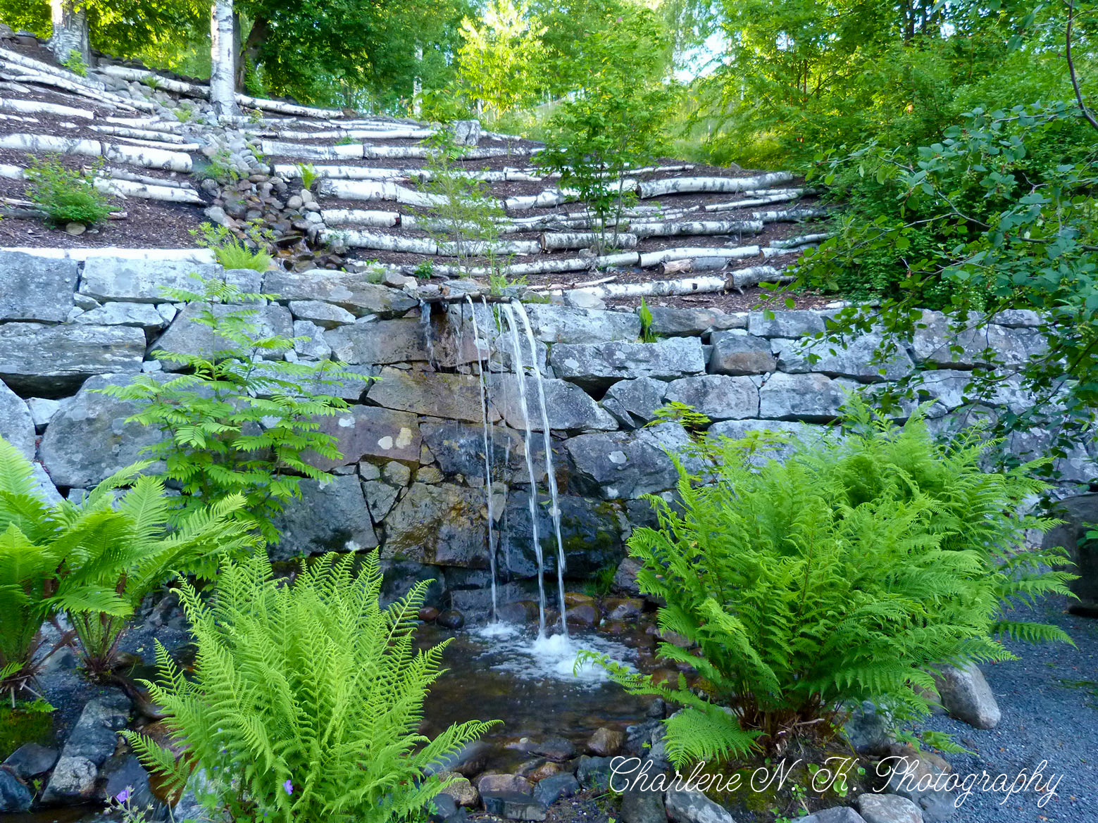 Revisiting Arboretum Norr |Blissful Solitary Wanderings