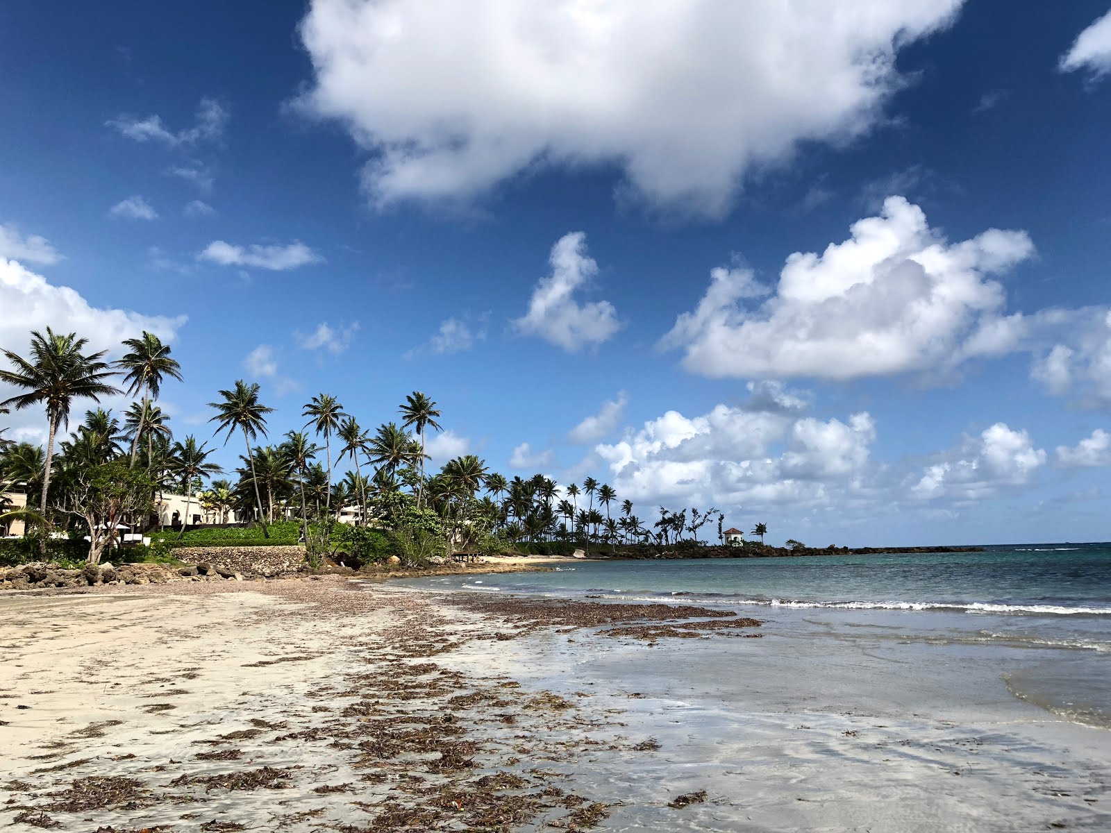 Summer in Puerto Rico