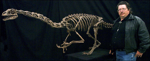 Variety of Life: Maniraptora