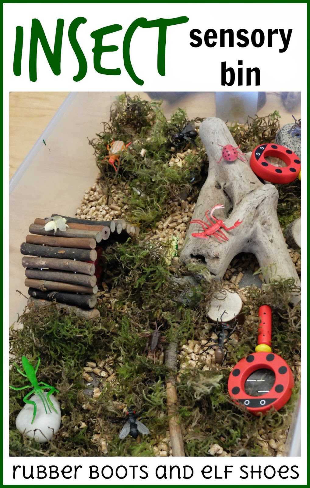 insect sensory bin - rubber boots and elf shoes