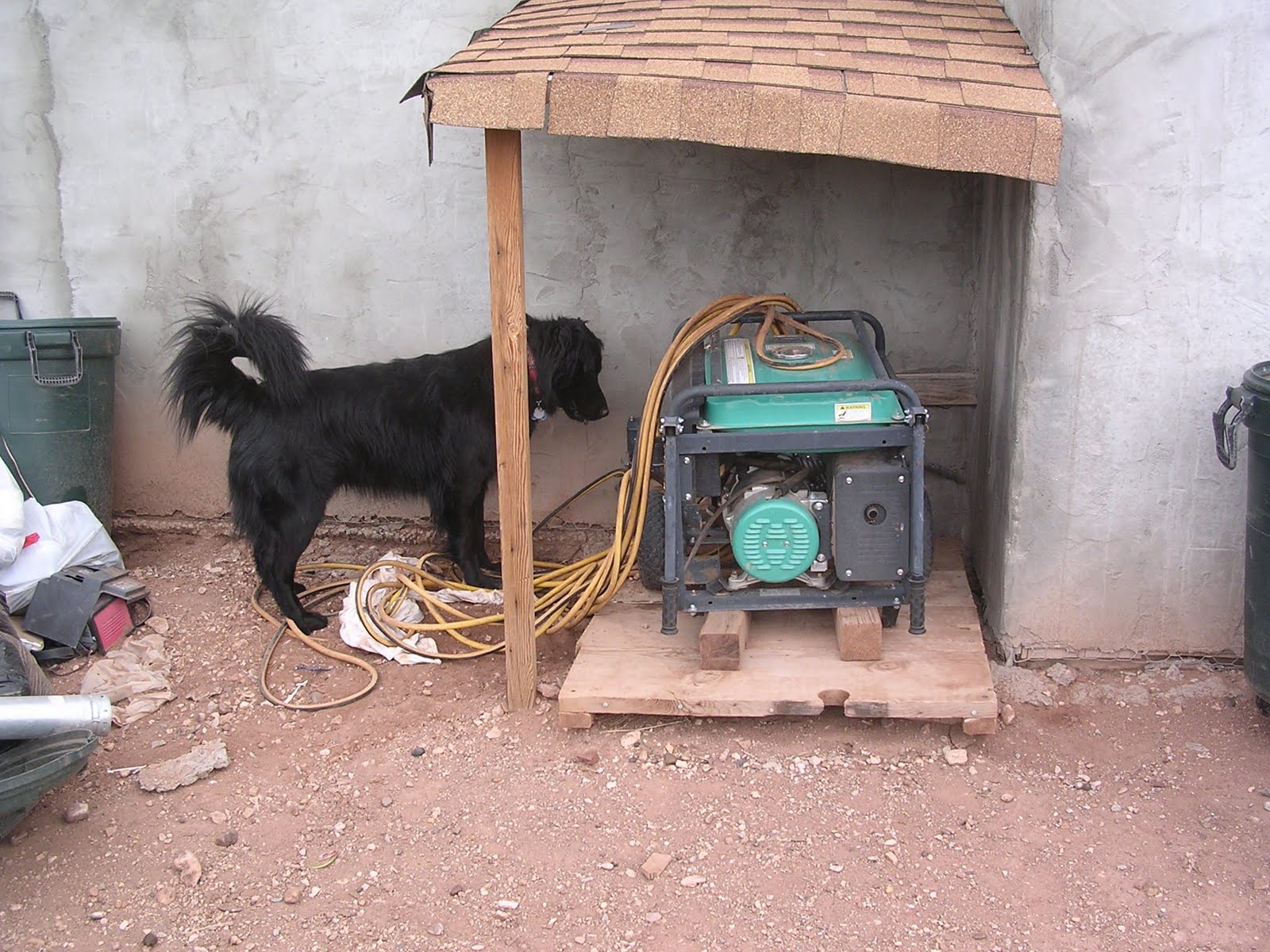 Wicked, false, tricksy rabbitses! They stole my Precious! | The ...