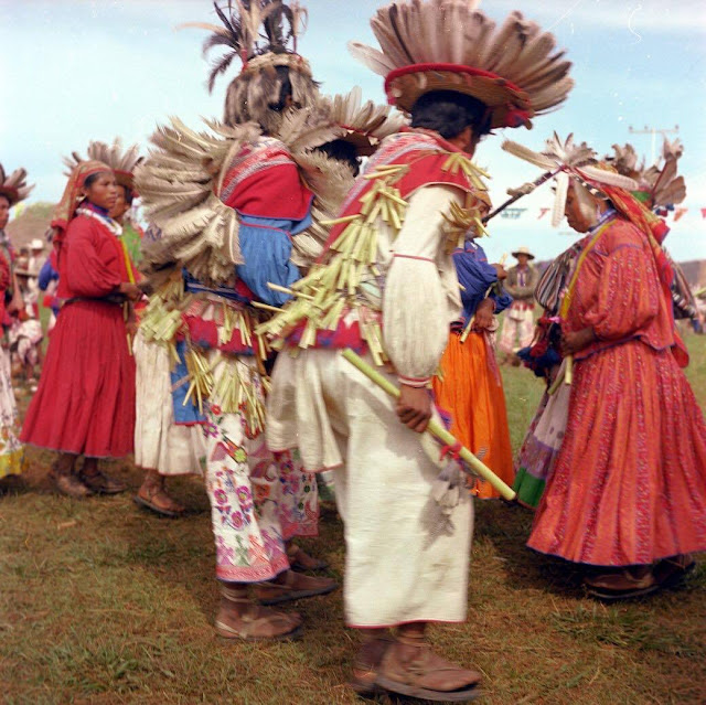 Diversidad cultural de Mexico: GUACHICHILES Y GUAMARES