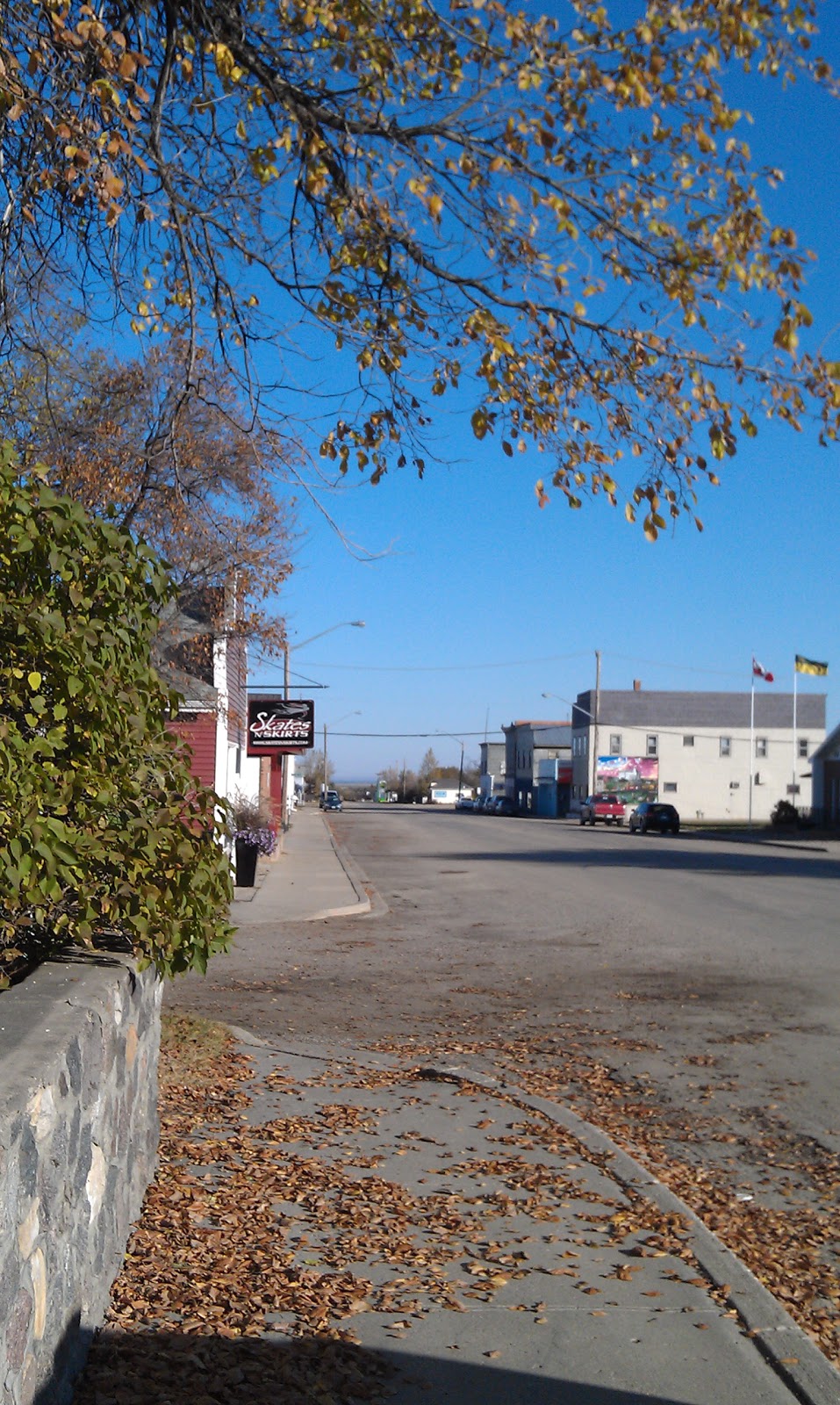 Mossbank Moos: Bienvenue à Mossbank