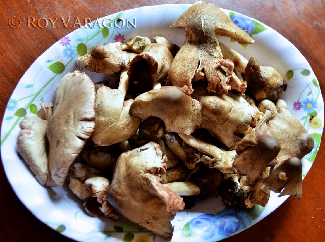 exotic food recipes & other gastronomic delights: straw mushrooms soup ...