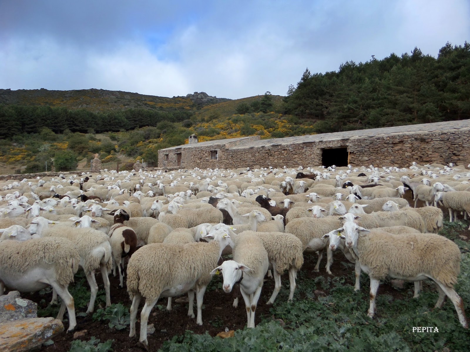 Fotografiando Cumbres: Piedra la Ventana
