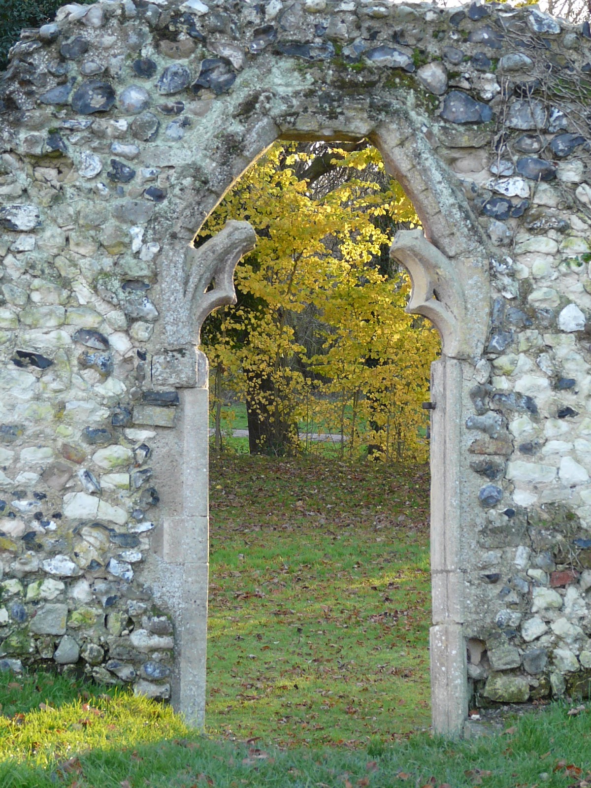 Cindy's Snaps: Thetford Priory, Nunnery Lakes Nature Reserve and ...