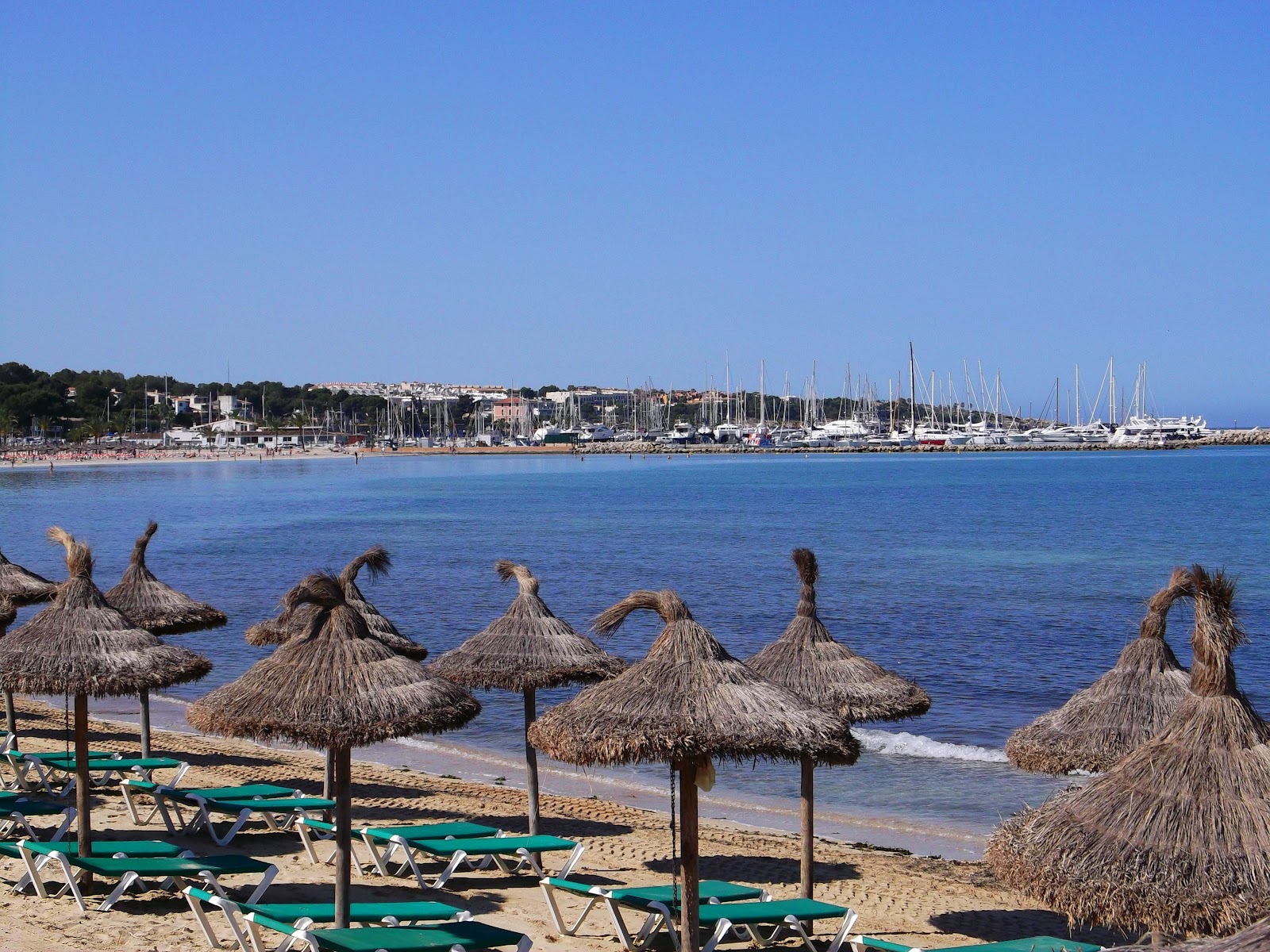 Mallorca semestrar och resor: EL Arenal