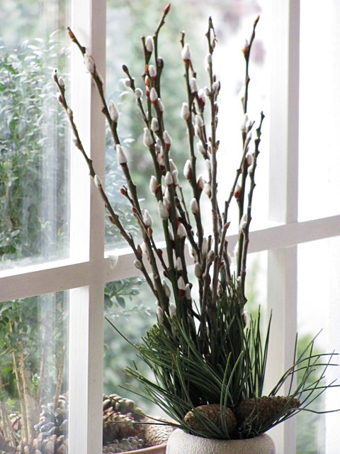 Blue Hortensia: Svježina...