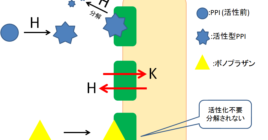 PPIの違いと使い分け|薬局業務NOTE
