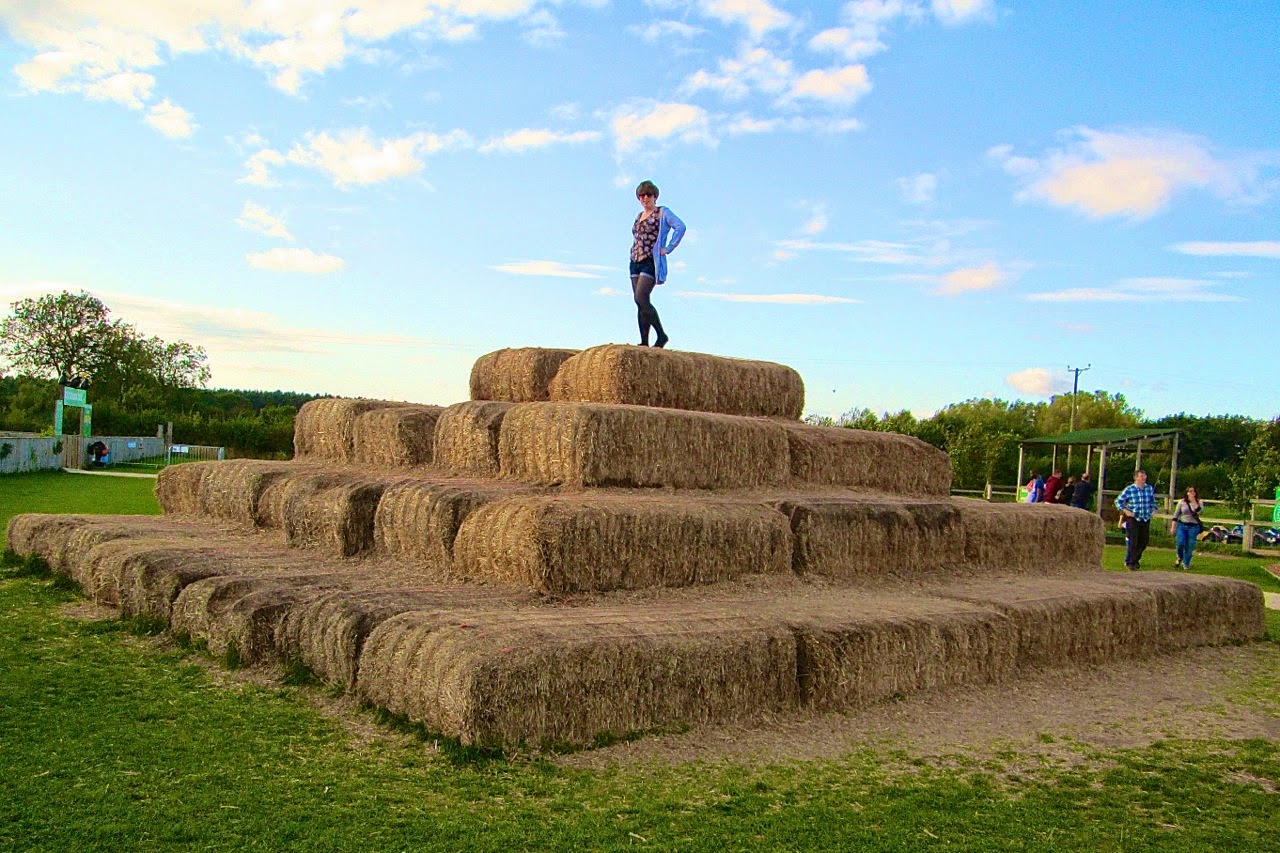 Everyday Adventures: The Amazing Maize Maze - Ever Changing Scenery