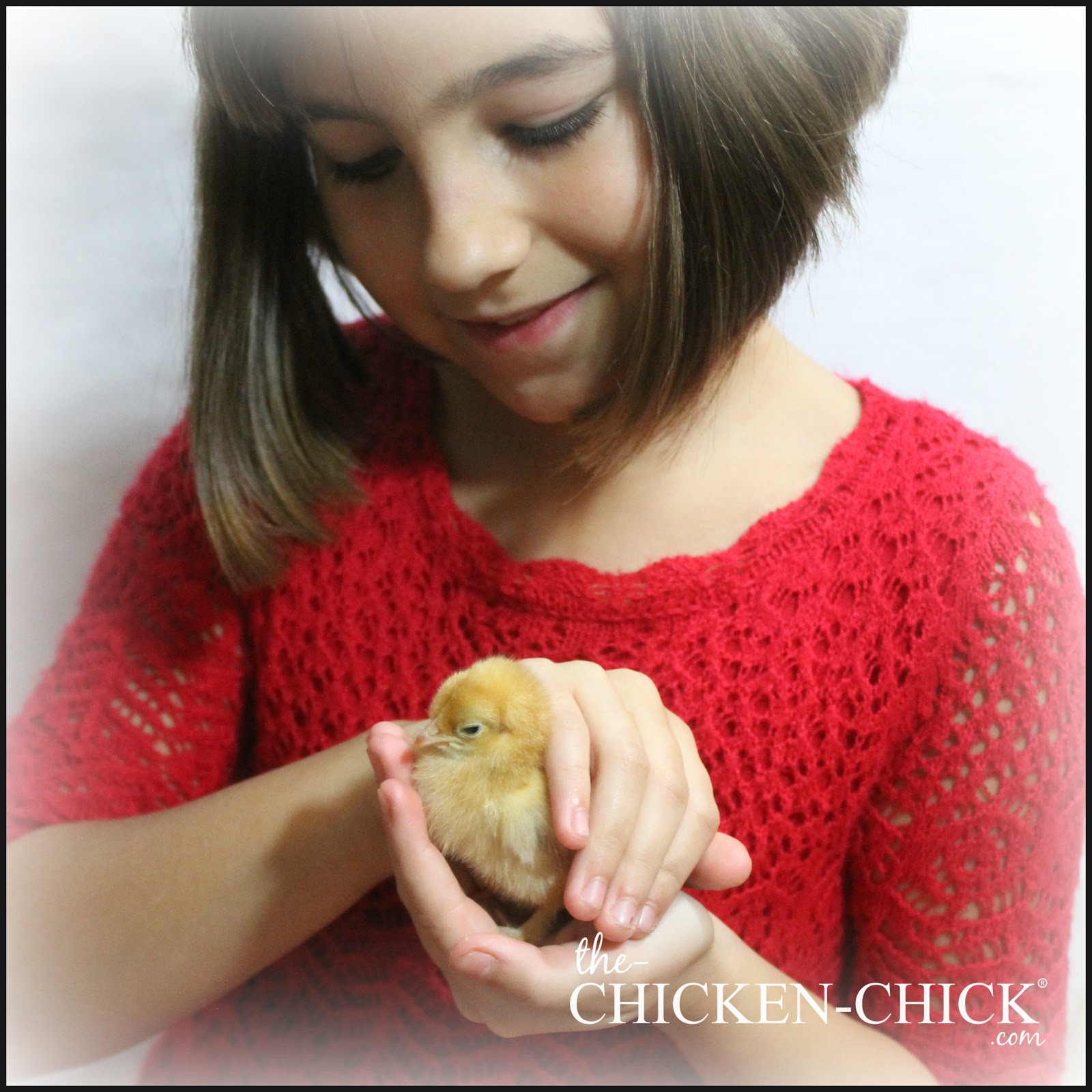 The Correct Mode To Check & Grip A Chicken