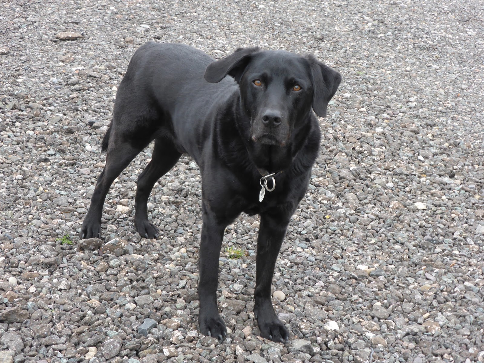 Nb.Yarwood: A night out and on to Sutton Stop