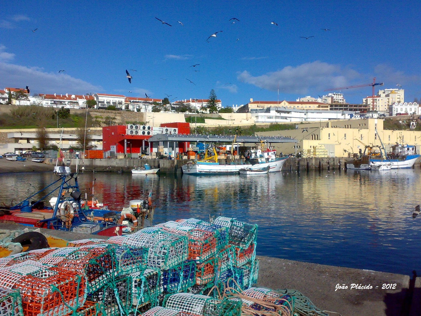 Cabo de Sines: Ribeira de Sines